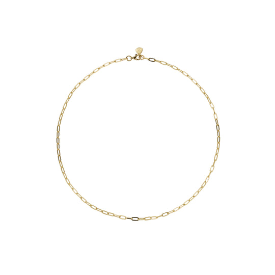 Gold Tiny Trace Chain Necklace – Daniella Draper