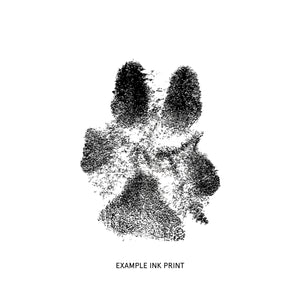 Paw Print Ink Pad – Daniella Draper