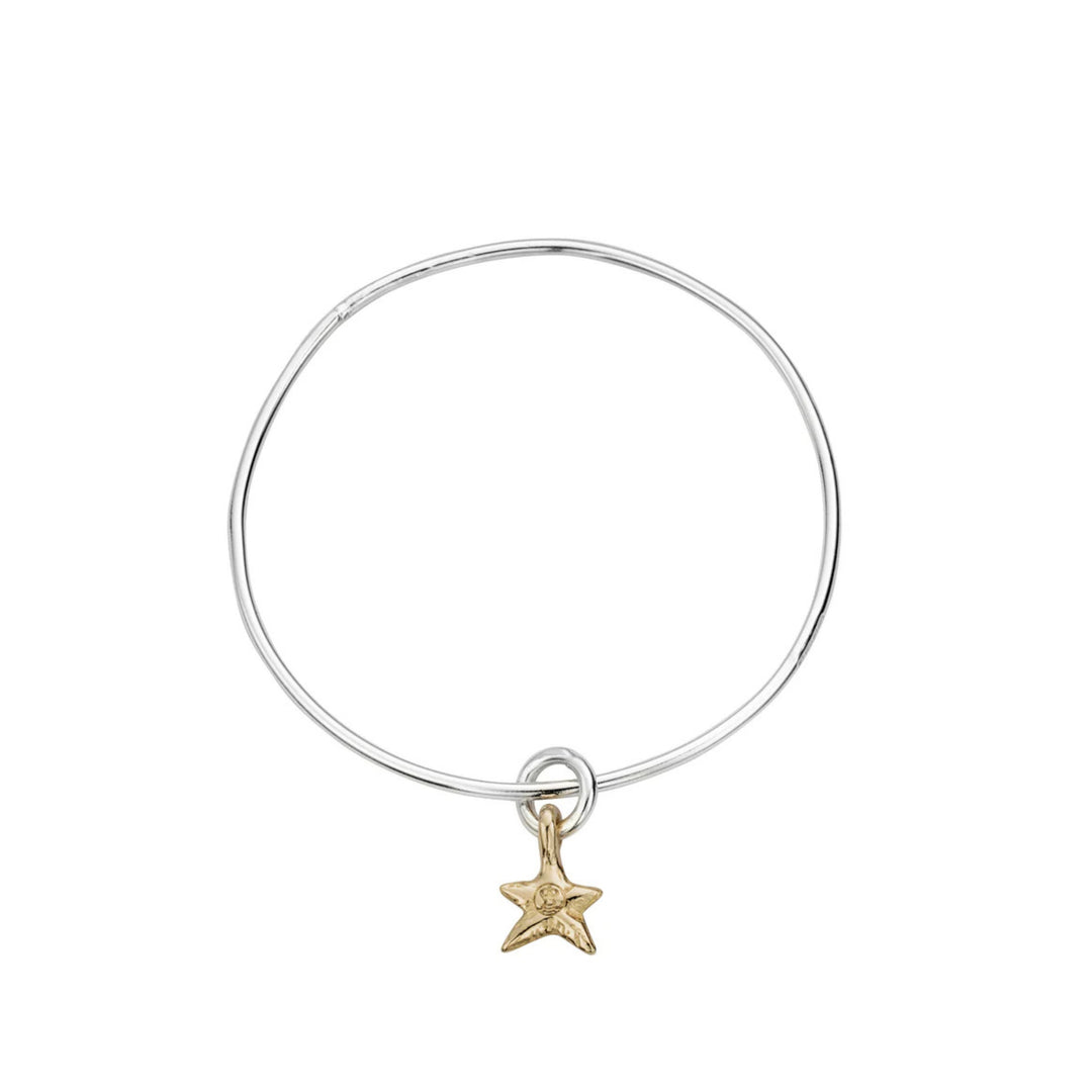 Silver & Gold Mini Star Bangle – Daniella Draper