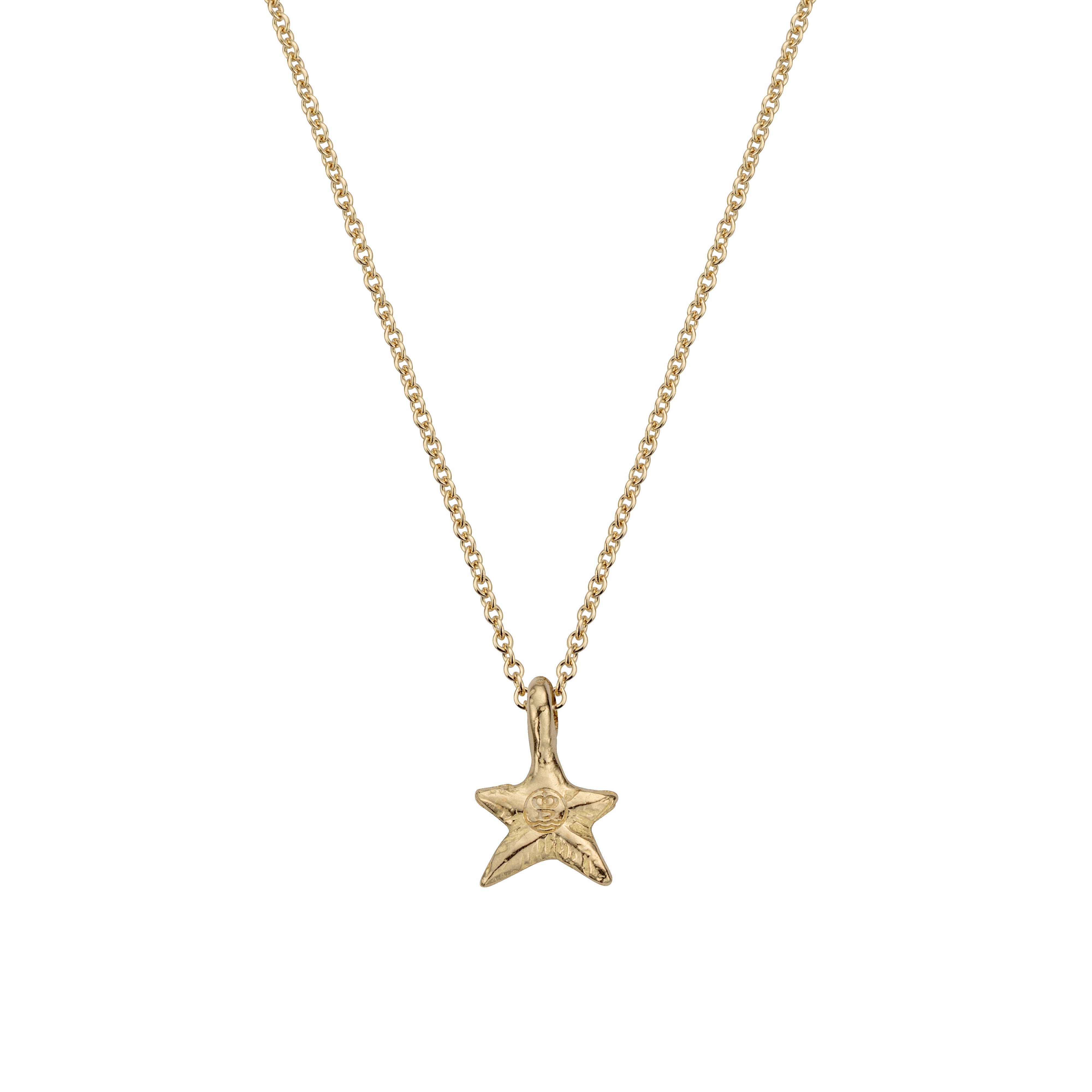 Gold Mini Star Necklace – Daniella Draper