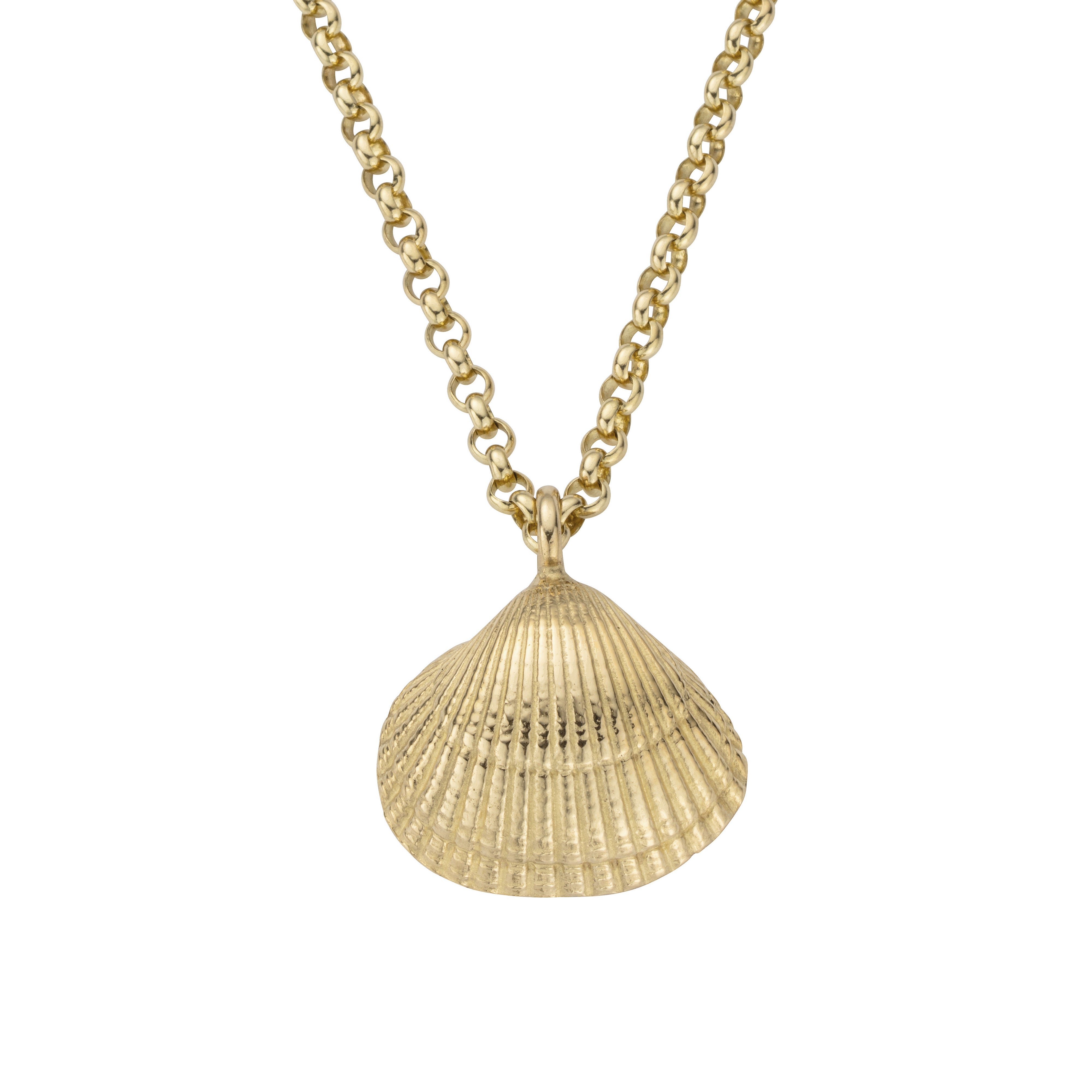 Maxi Shell Gold Necklace – Daniella Draper