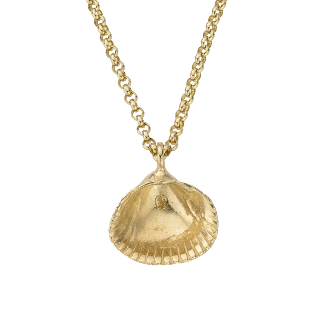 Maxi Shell Gold Necklace – Daniella Draper