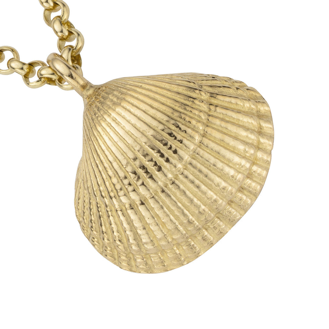 Maxi Shell Gold Necklace – Daniella Draper